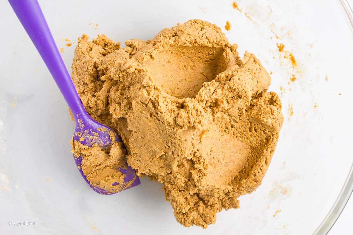 Pumpkin Spice Snickerdoodles {GF, DF} - Joyfully Full